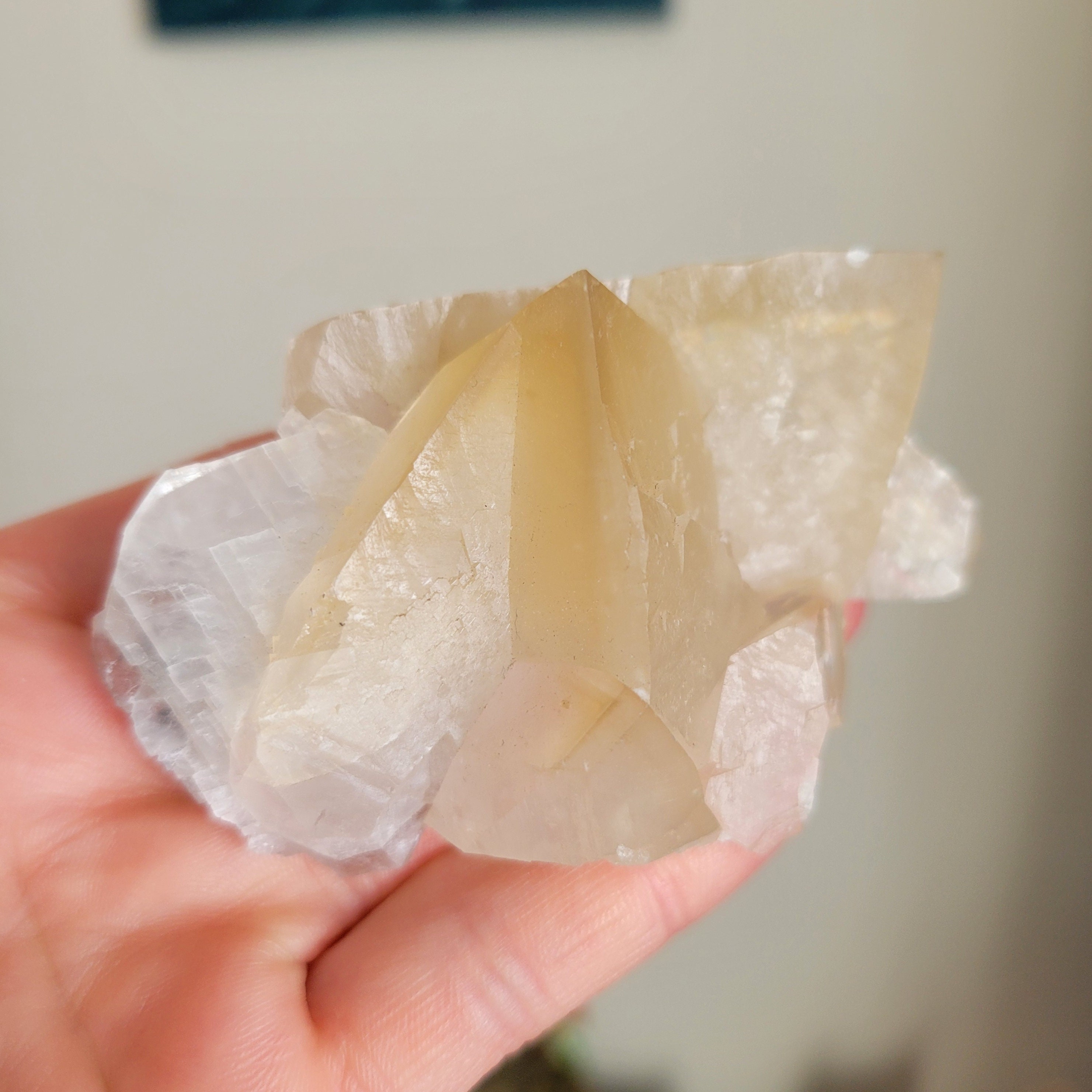 Mariposa Butterfly Calcite Crystal Specimen With Phantoms From Santa ...