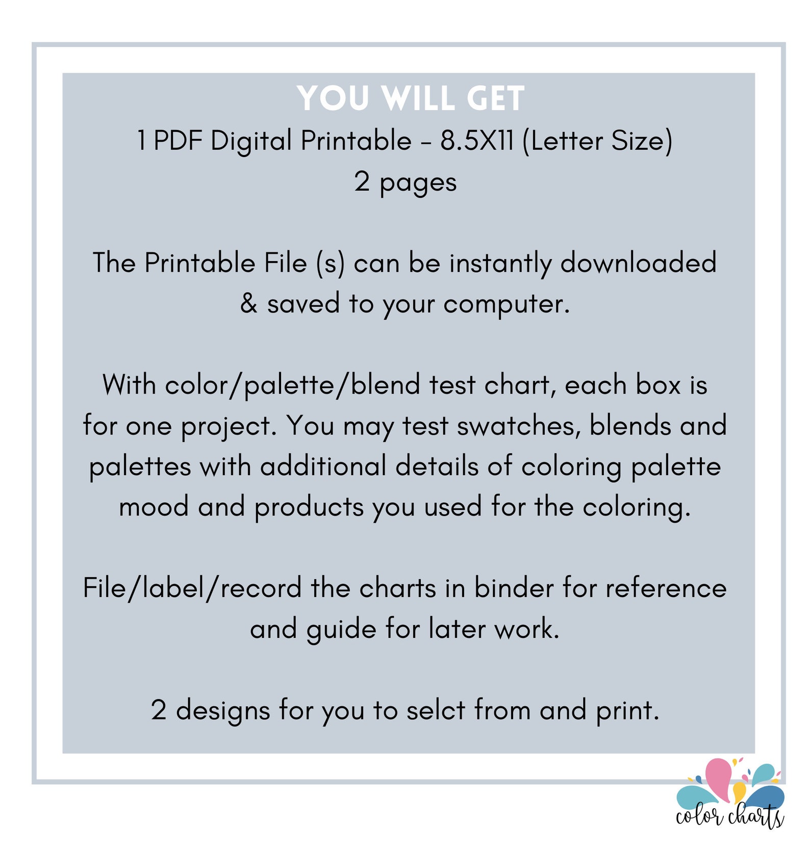 Color Test Record Chart Set of 2 Coloring Chart DIY Color - Etsy