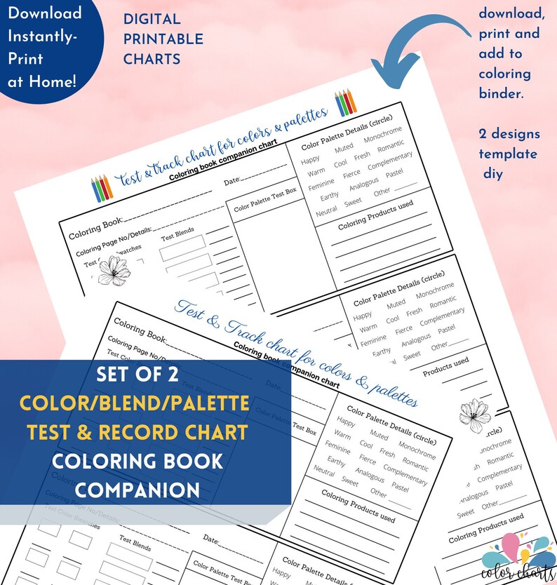 Color Test Record Chart Set of 2 Coloring Chart DIY Color - Etsy