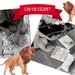 Gladiator Escape Room Game. Printable Adventure for Families, Adults ...