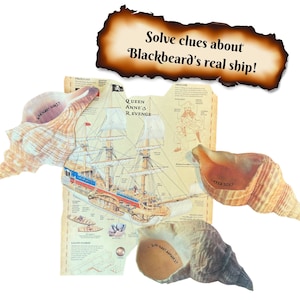 Pirate Escape Room Game. Treasure Adventure Printable Party Game for ...