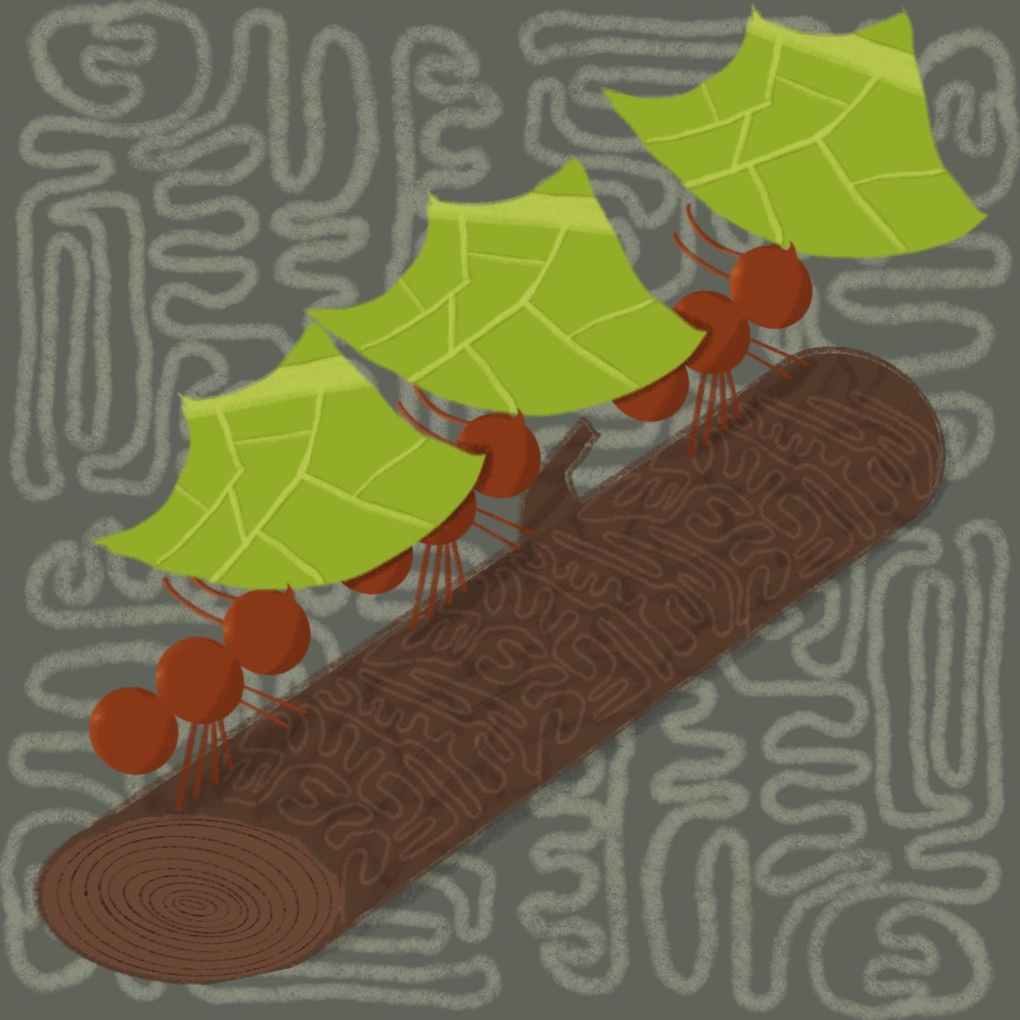 Leaf Cutter Ants - Etsy