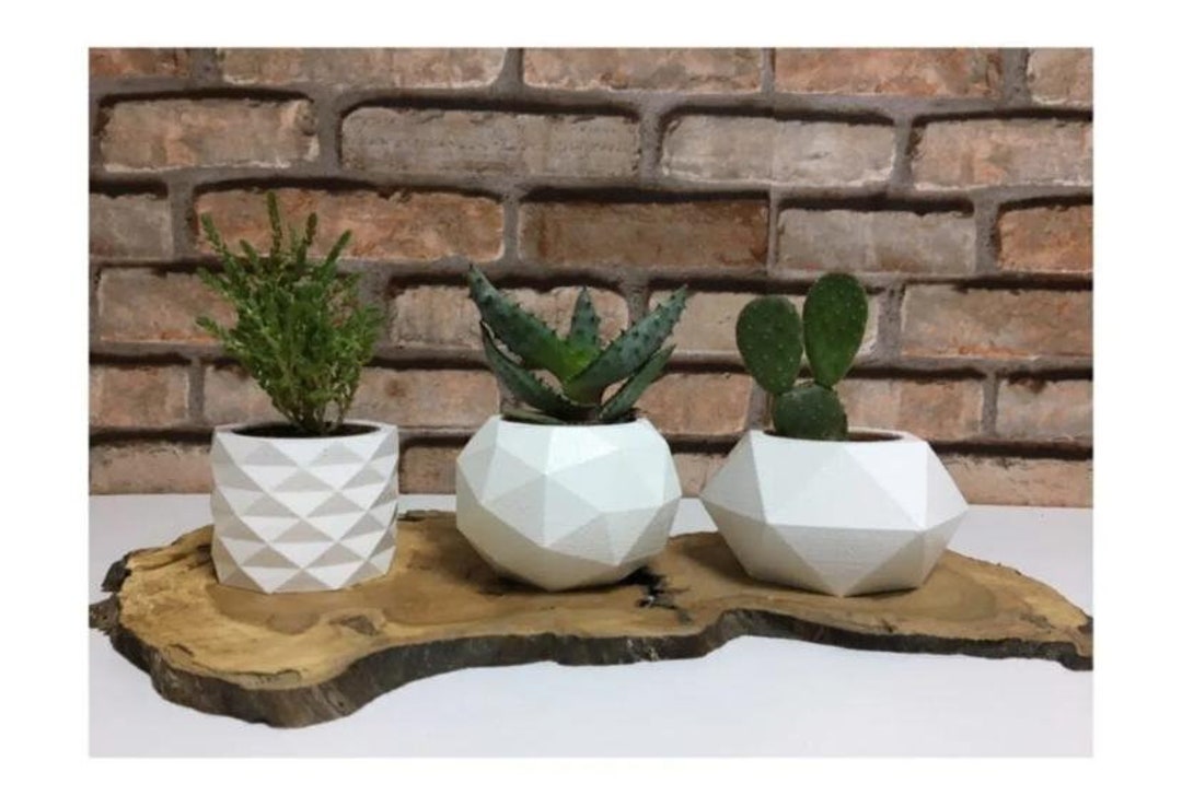 Gorgeous Elegant Handmade Plaster Vases - Etsy