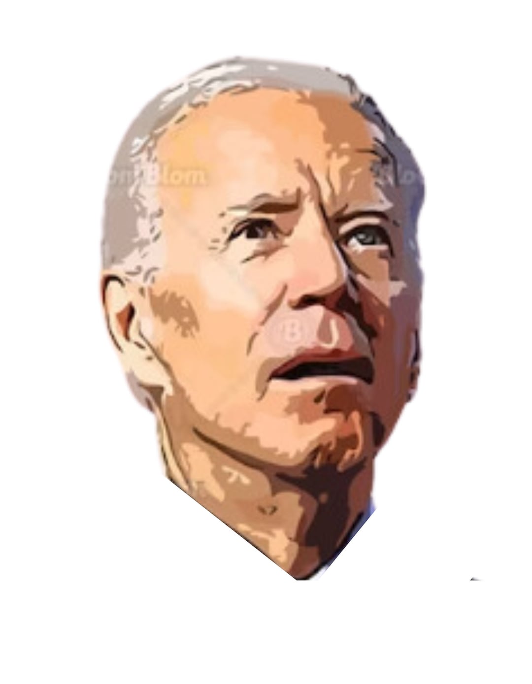 Joe Biden Head Stickerpack Bubble-free Stickers - Etsy