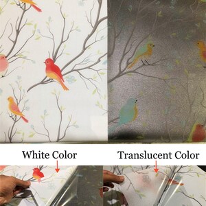 Colorful Window Film,birds Window Privacy Film,self Adhesive Film ...
