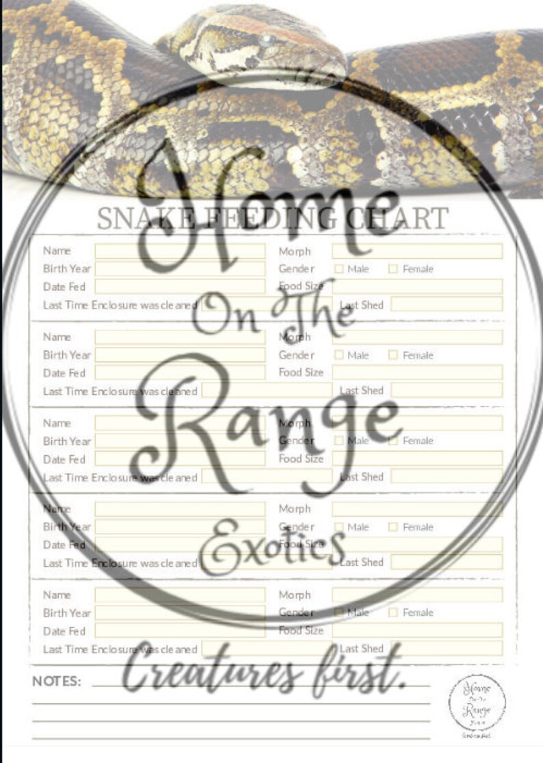 Snake Feeding Chart Multiple - Etsy