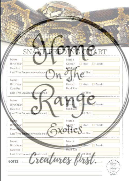 Snake Feeding Chart Multiple - Etsy