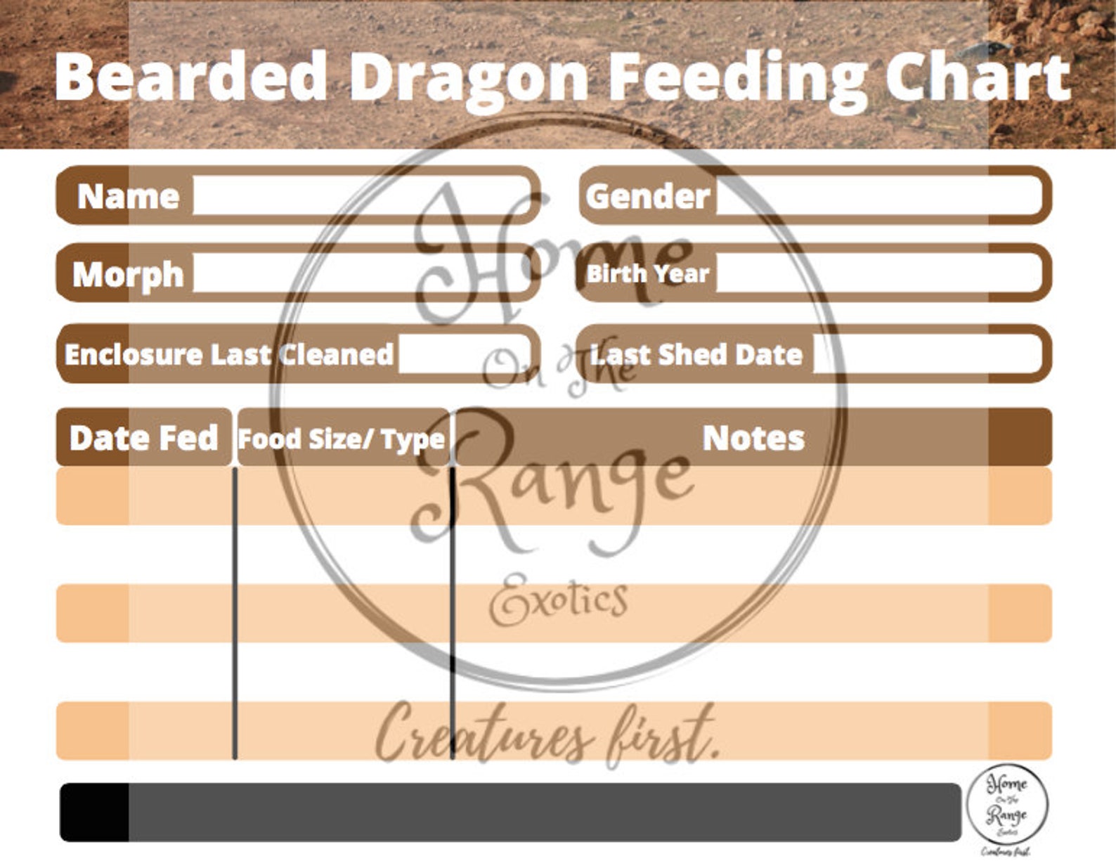 Bearded Dragon Feeding Chart - Etsy