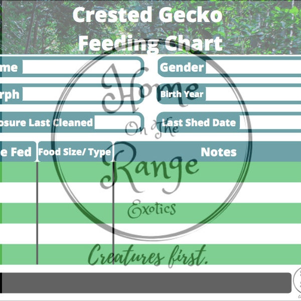 Gecko Feeding Chart - Etsy