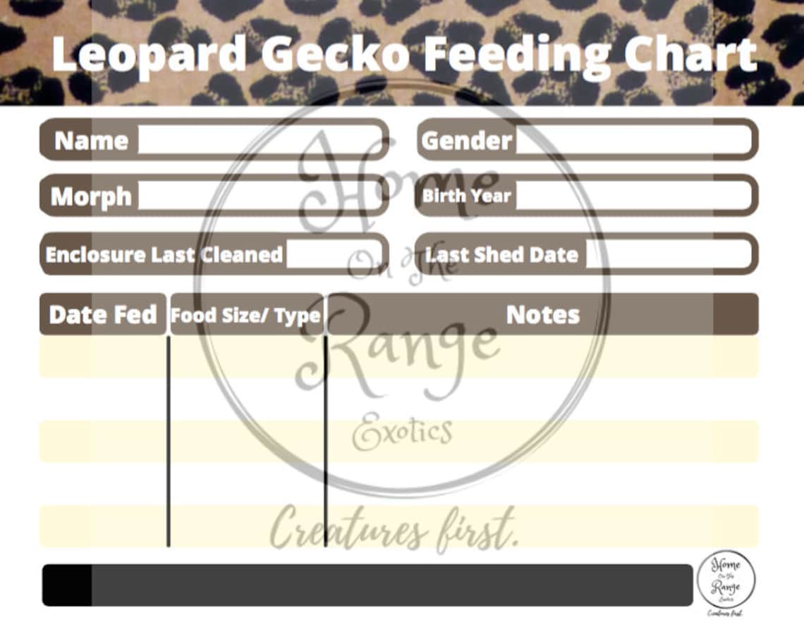 Leopard Gecko Feeding Chart - Etsy UK