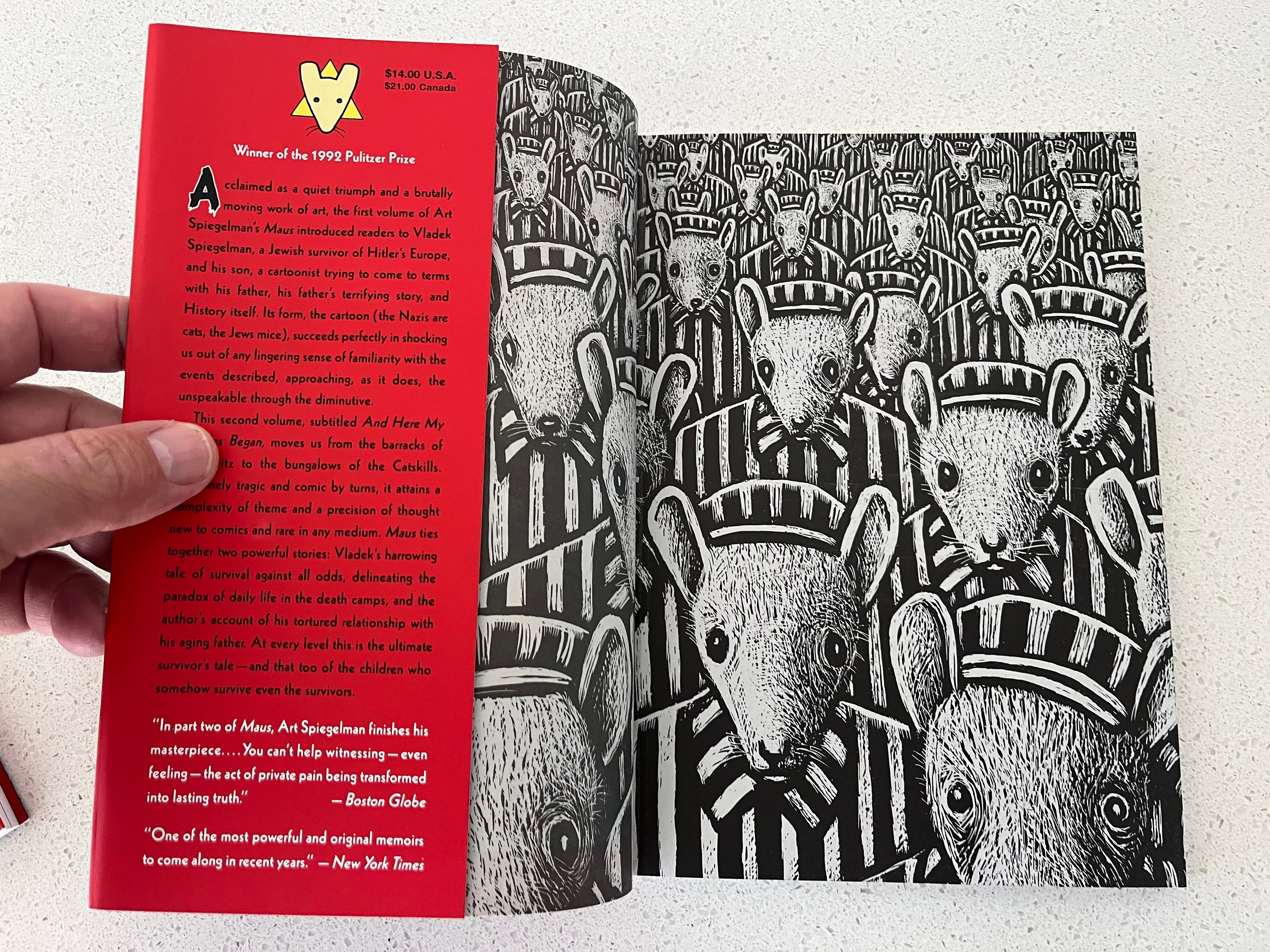 Maus A Survivors Tale Art Spiegelman Two Book Boxset Vintage 1992 - Etsy