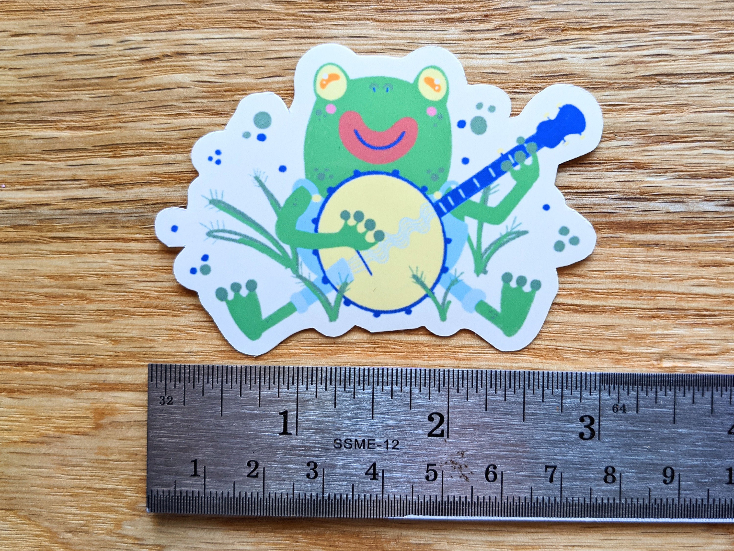 Pegatina de rana pegatina para hidroflask resistente a la - Etsy España