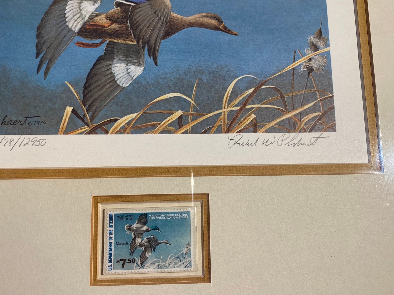 Framed Federal Duck Stamp Print MALLARDS 1979 & Stamp Richard | Etsy