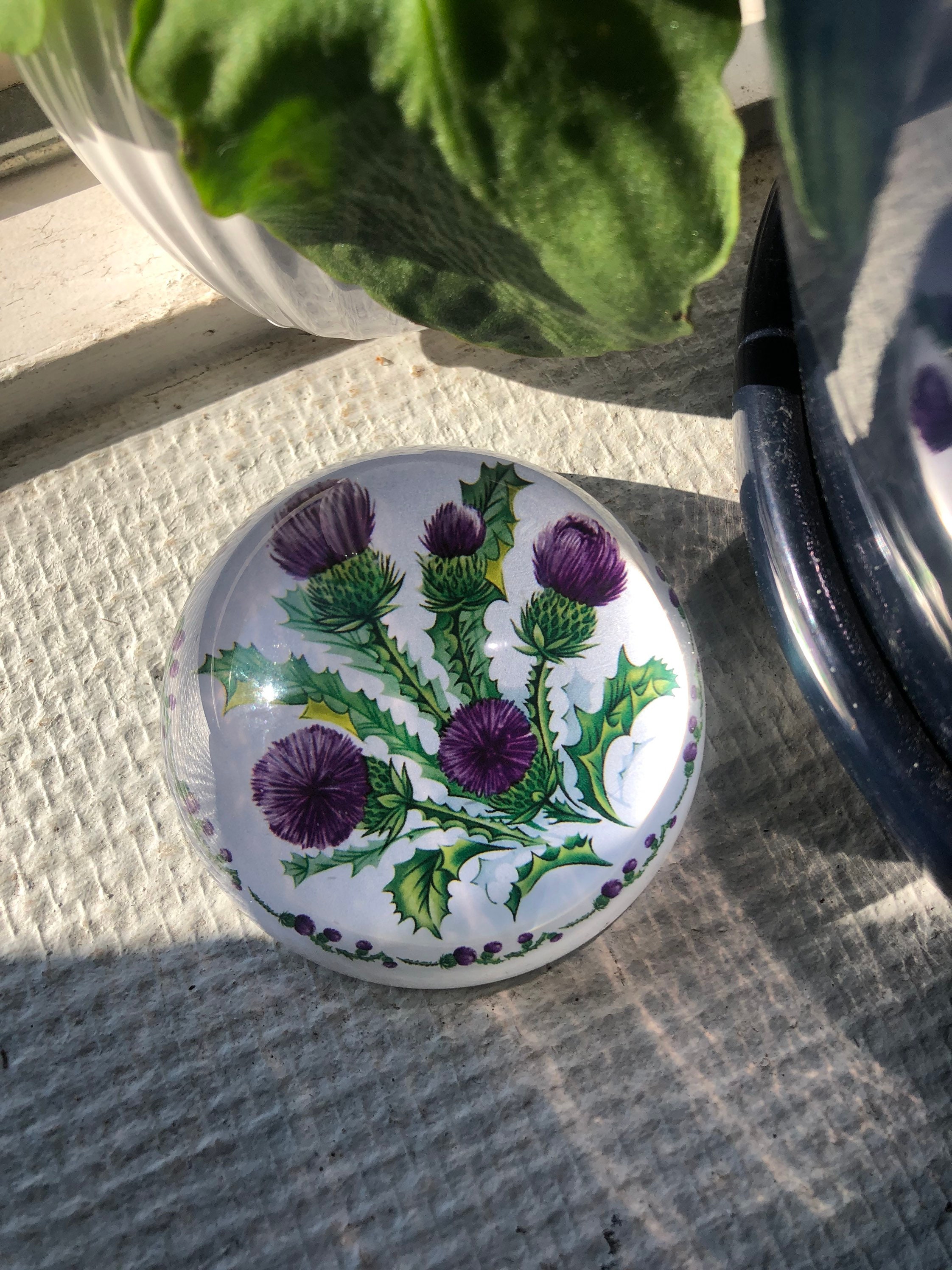Cool Vintage Thistle Glass Paperweight. 3D Feature - Etsy