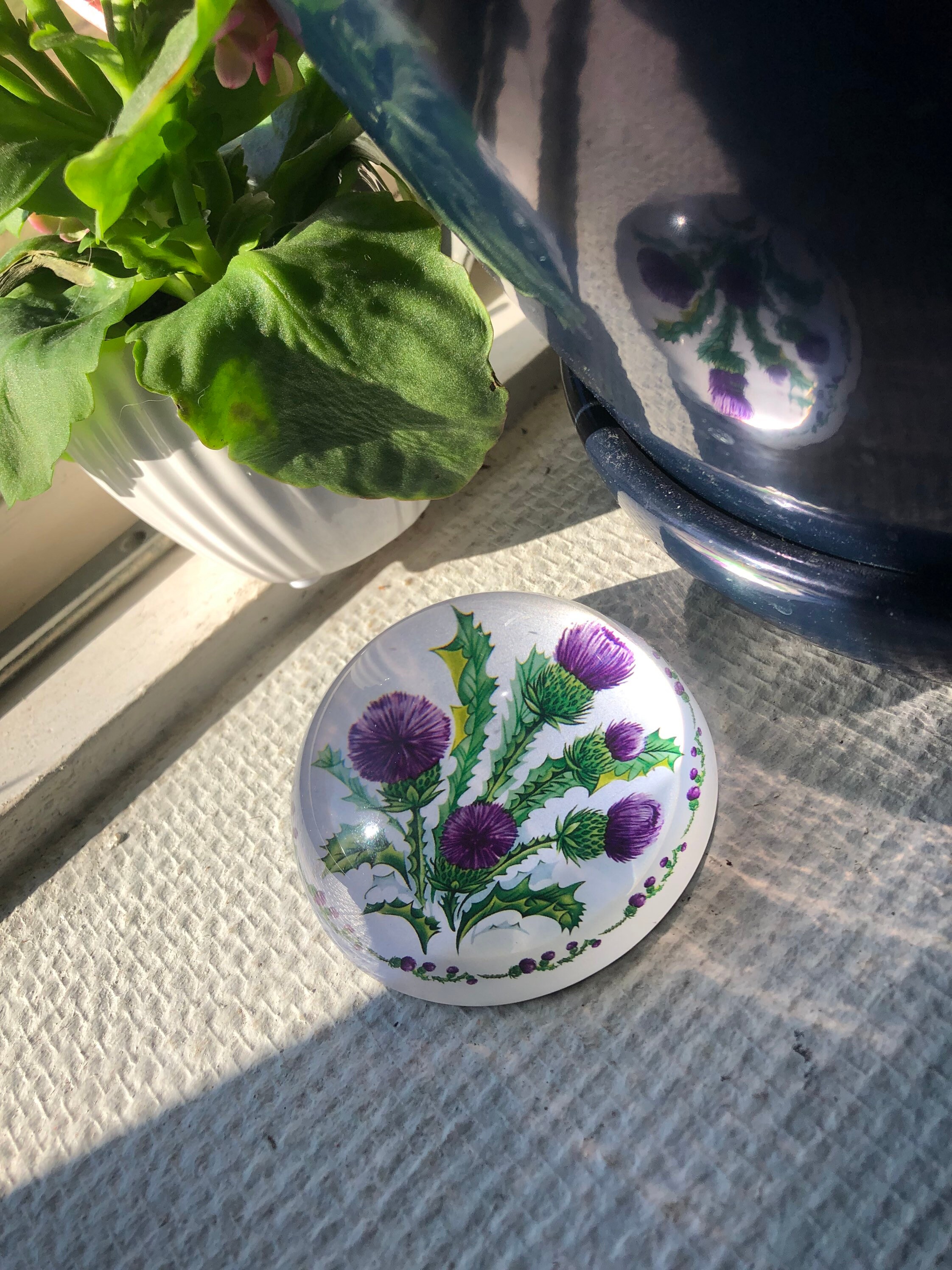 Cool Vintage Thistle Glass Paperweight. 3D Feature - Etsy