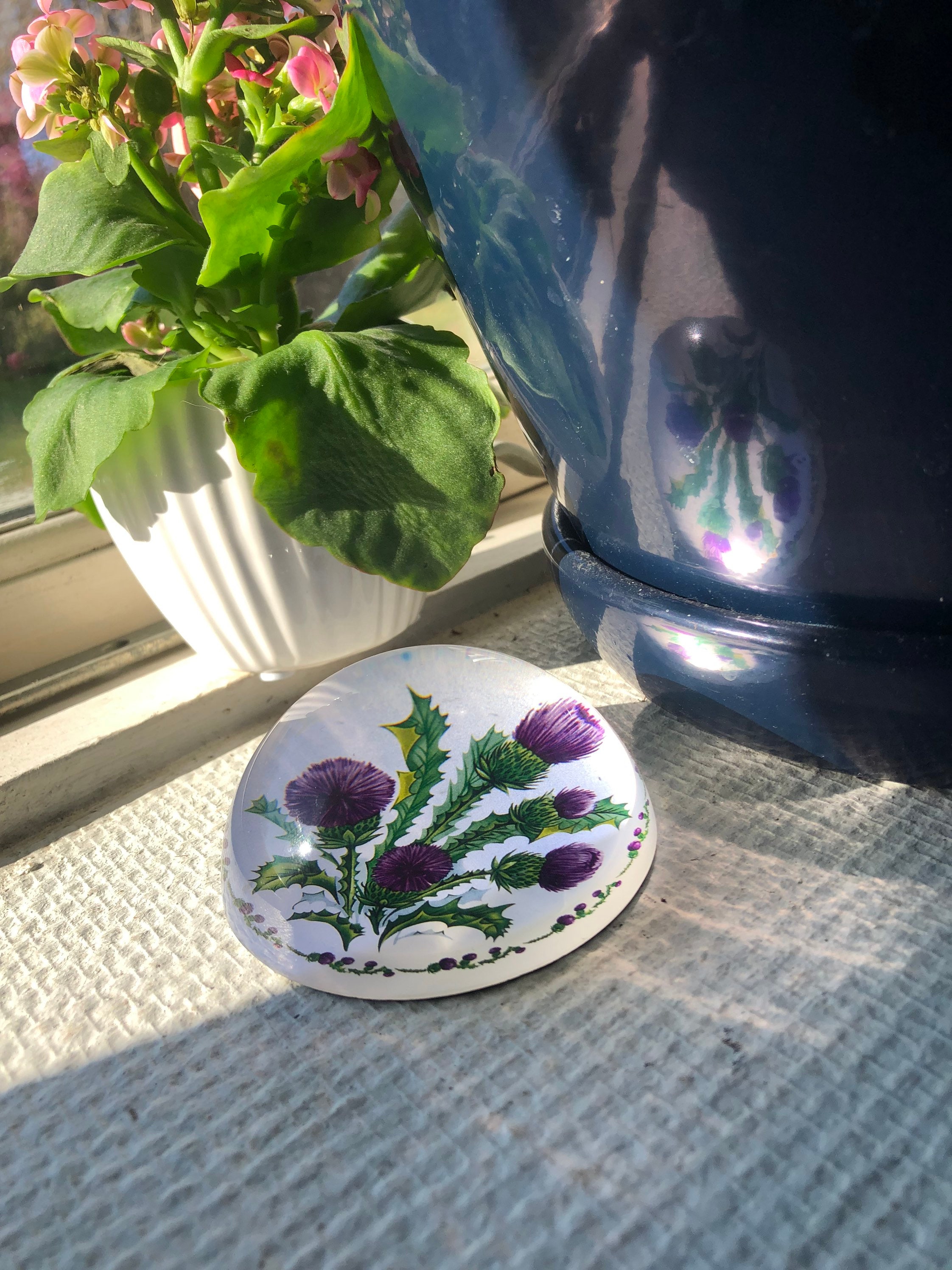 Cool Vintage Thistle Glass Paperweight. 3D Feature - Etsy