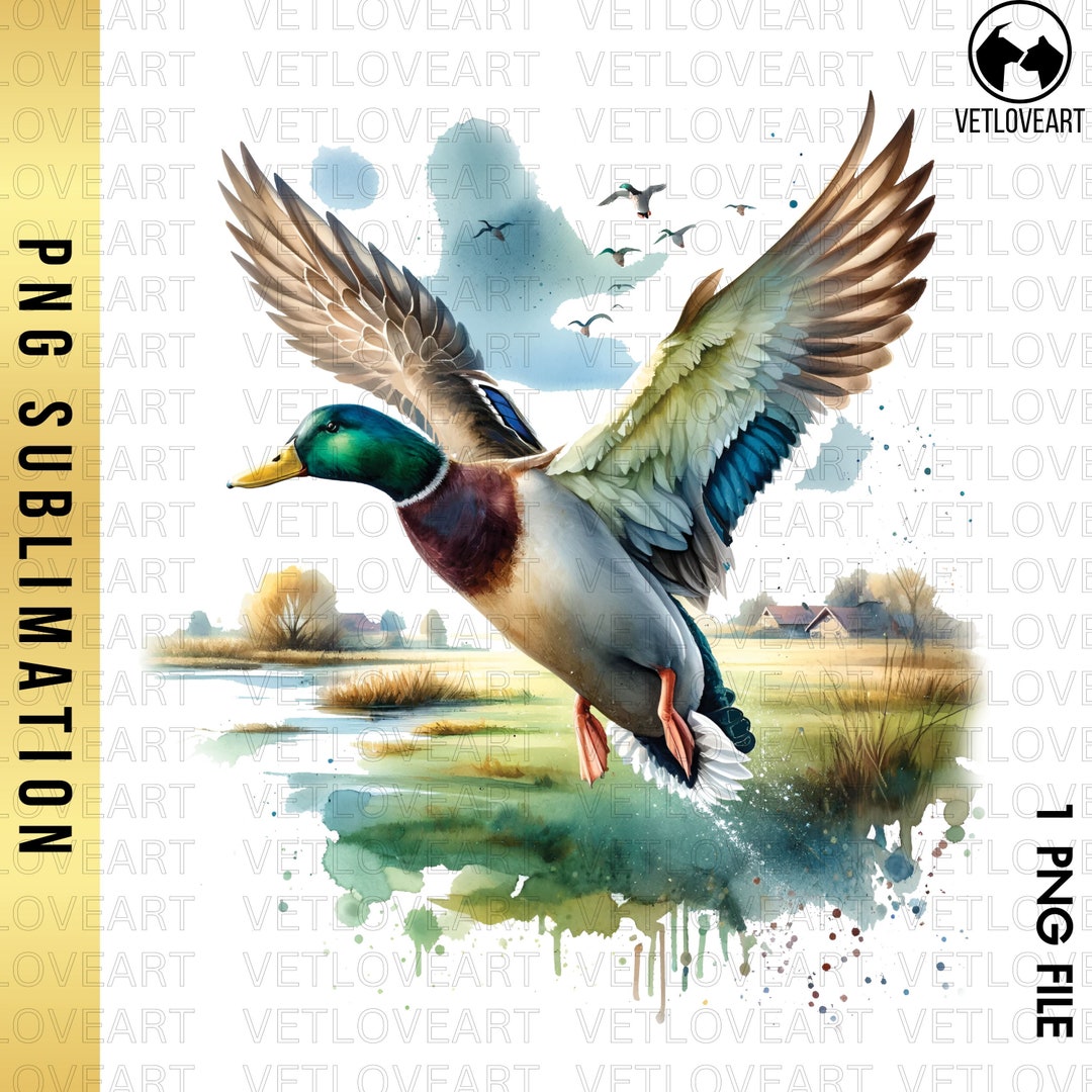 Mallard Duck Sublimation,duck Hunting Png,duck Sublimation,duck Hunting ...