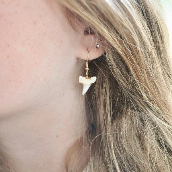 Shark Teeth Earrings - Etsy
