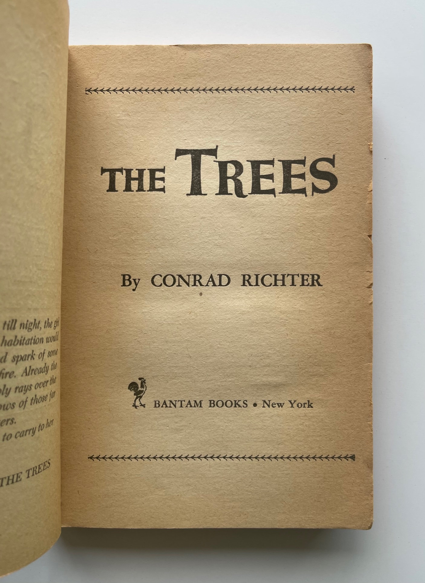 Vintage Paperback the Trees Conrad Richter Bantam Books 1952 962 - Etsy