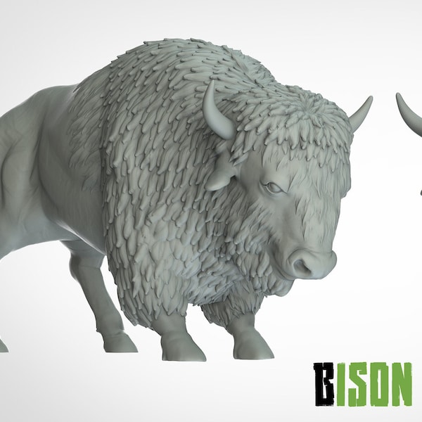 Bison Print - Etsy UK