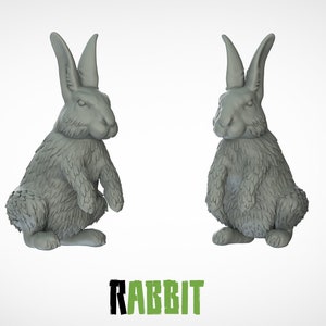 Rabbit Bunny Miniature - Ideal for Dungeons and Dragons and Other ...