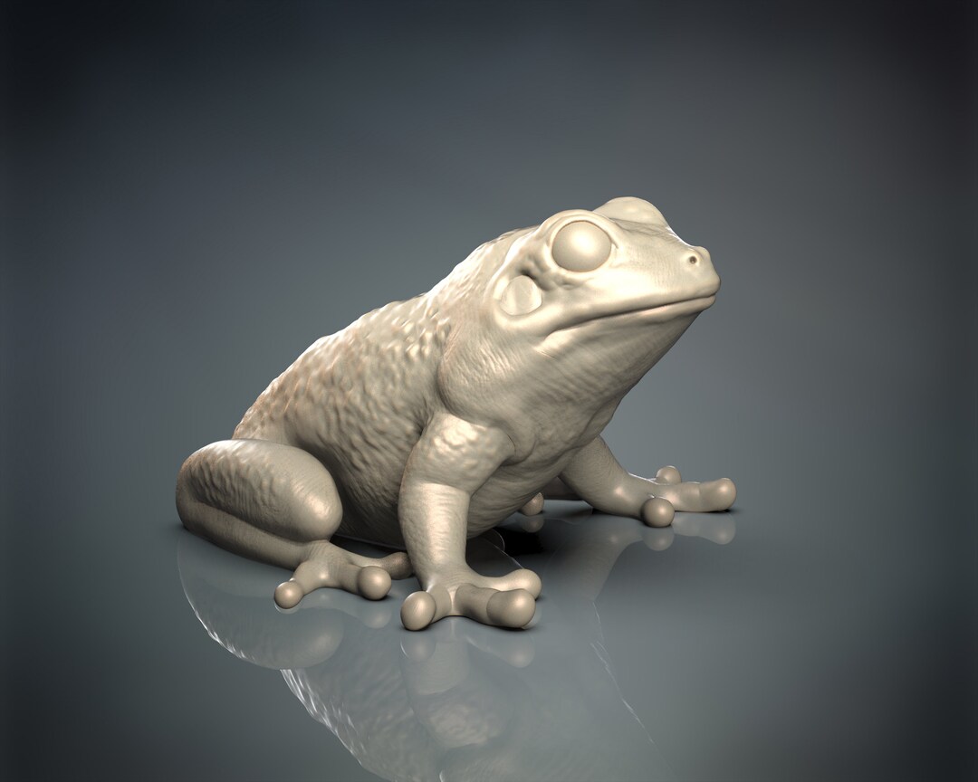 Giant Frog - Ideal for Dungeons and Dragons and Other Tabletop Rpgs ...