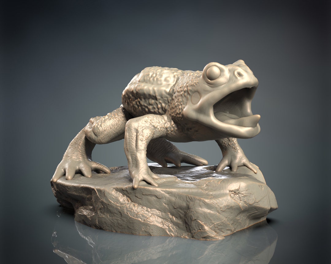 Giant Toad - Ideal for Dungeons and Dragons and Other Tabletop Rpgs ...