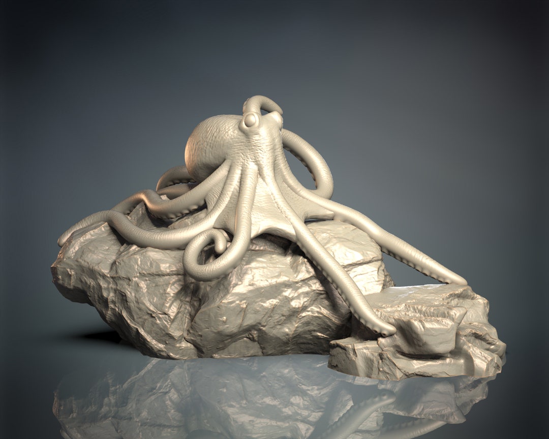 Octopus - Ideal for Dungeons and Dragons and Other Tabletop Rpgs ...