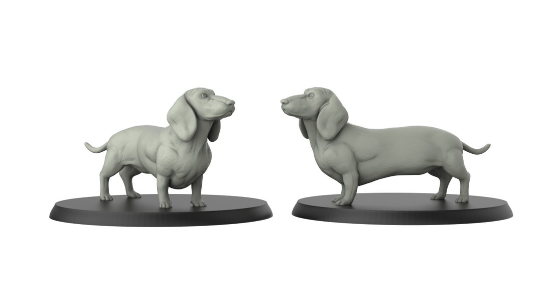 Dachshund Dog - Ideal for Dungeons and Dragons and Other Tabletop Rpgs ...