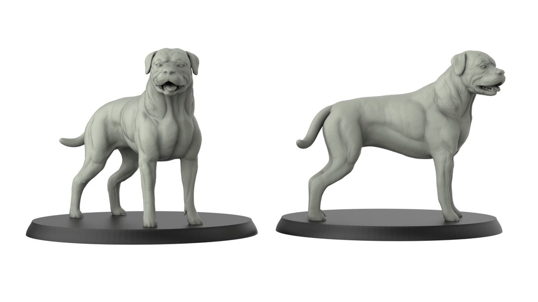 Rottweiler Dog - Ideal for Dungeons and Dragons and Other Tabletop Rpgs ...