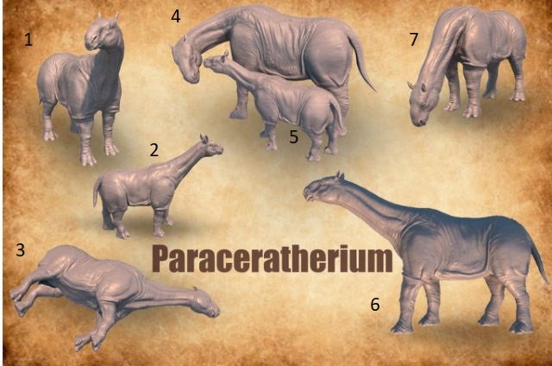 Prehistoric Paraceratherium - Ideal for Dungeons and Dragons and Other ...