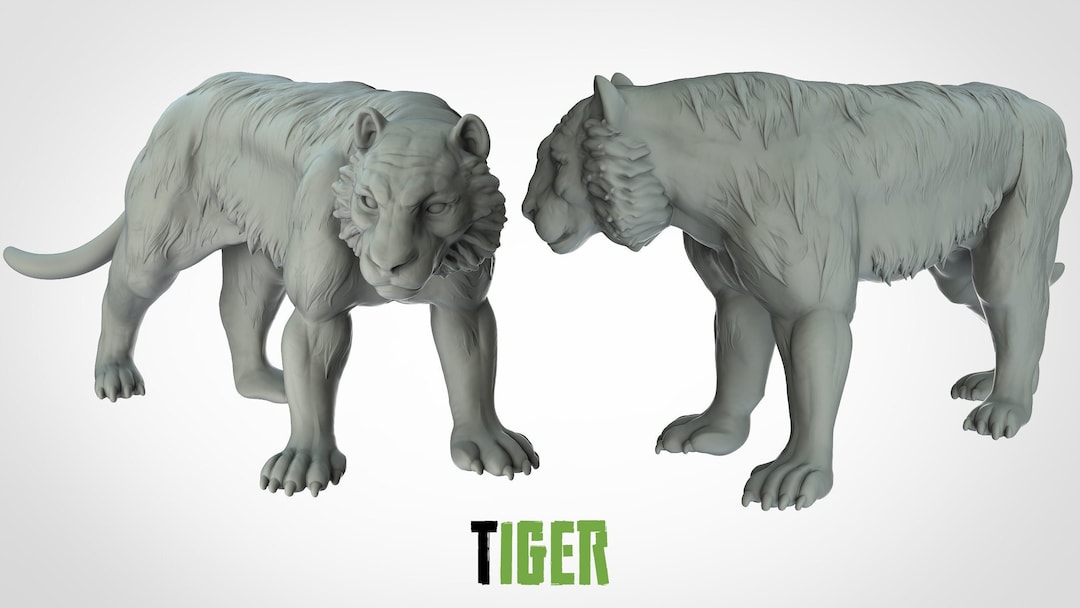 Tiger - Ideal for Dungeons and Dragons and Other Tabletop Rpgs ...