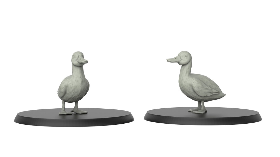 Duck/ Goose - Ideal for Dungeons and Dragons and Other Tabletop Rpgs ...