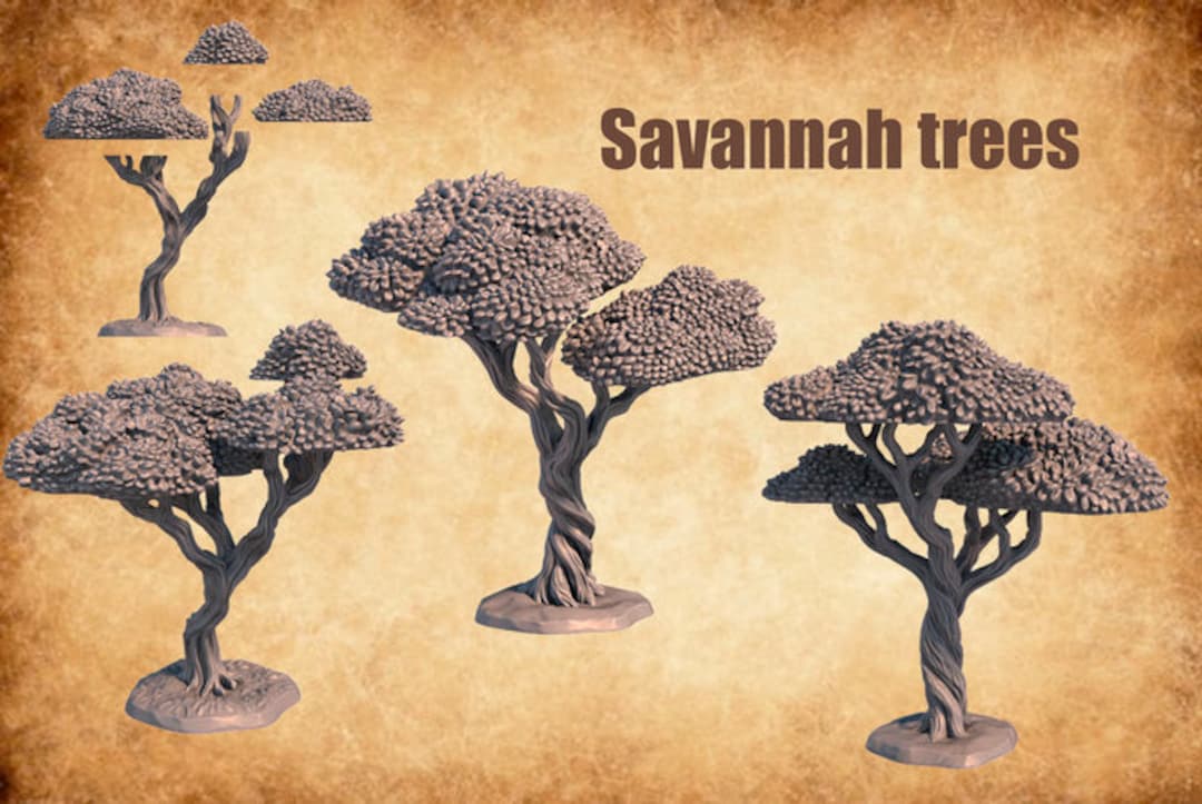 Acacia Tree Terrain Assets- Ideal for Dungeons and Dragons and Other ...