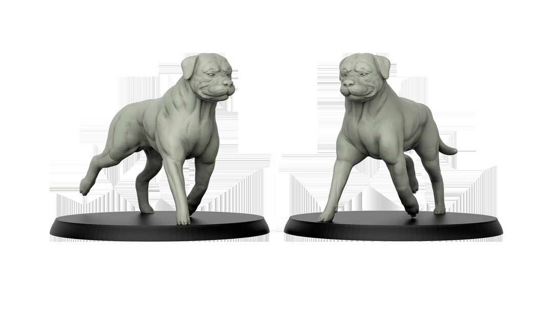 Rottweiler Dog - Ideal for Dungeons and Dragons and Other Tabletop Rpgs ...