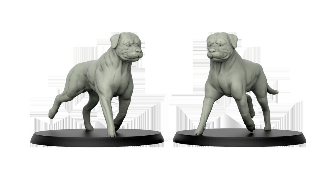 Rottweiler Dog - Ideal for Dungeons and Dragons and Other Tabletop Rpgs ...