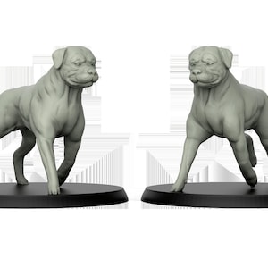 Rottweiler Dog - Ideal for Dungeons and Dragons and Other Tabletop Rpgs ...