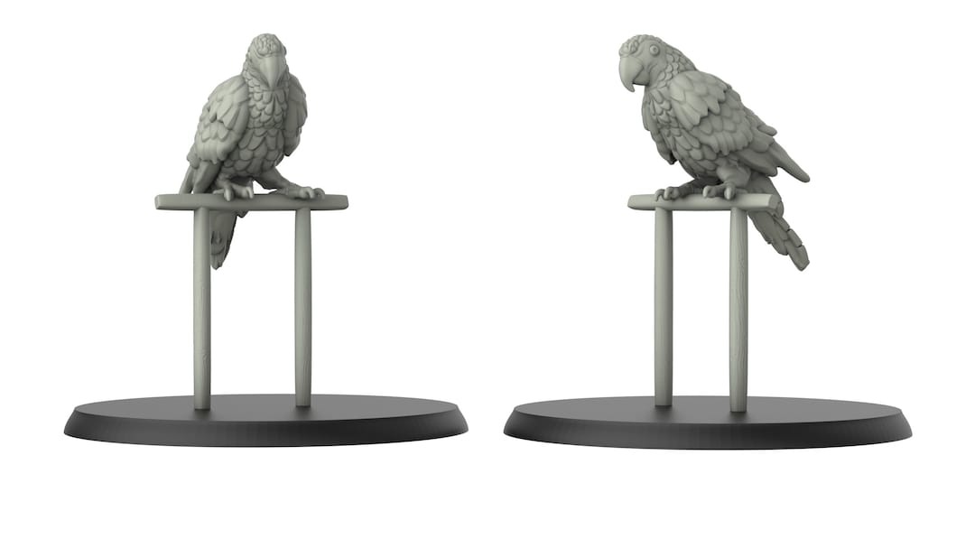 Parrot - Ideal for Dungeons and Dragons and Other Tabletop Rpgs ...