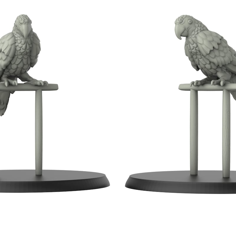 1/12 Parrot - Etsy UK