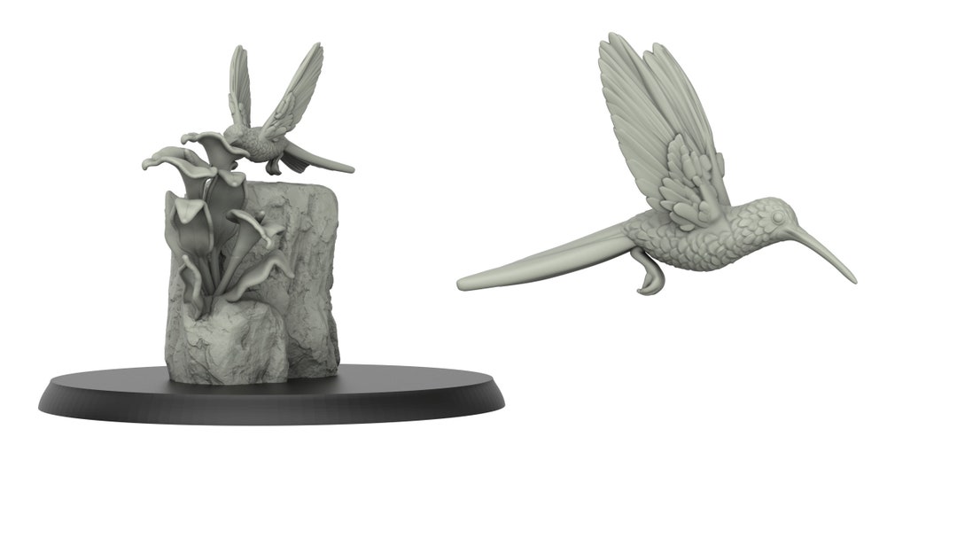 Hummingbird - Ideal for Dungeons and Dragons and Other Tabletop Rpgs ...