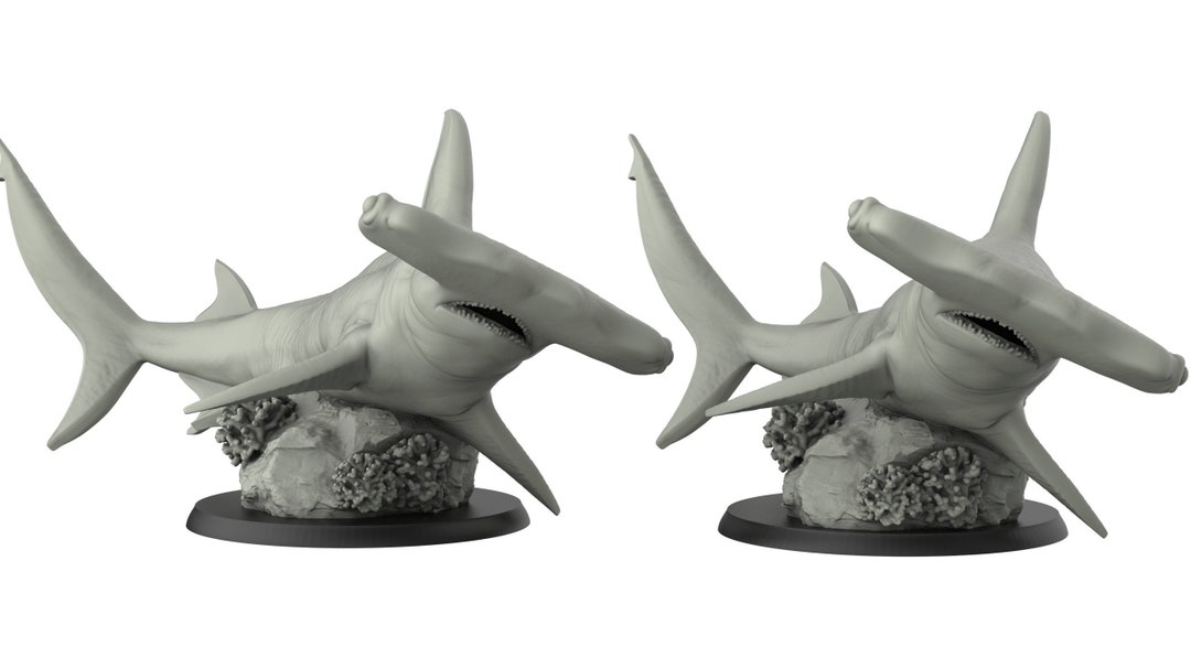 Hammerhead Shark - Ideal for Dungeons and Dragons and Other Tabletop ...