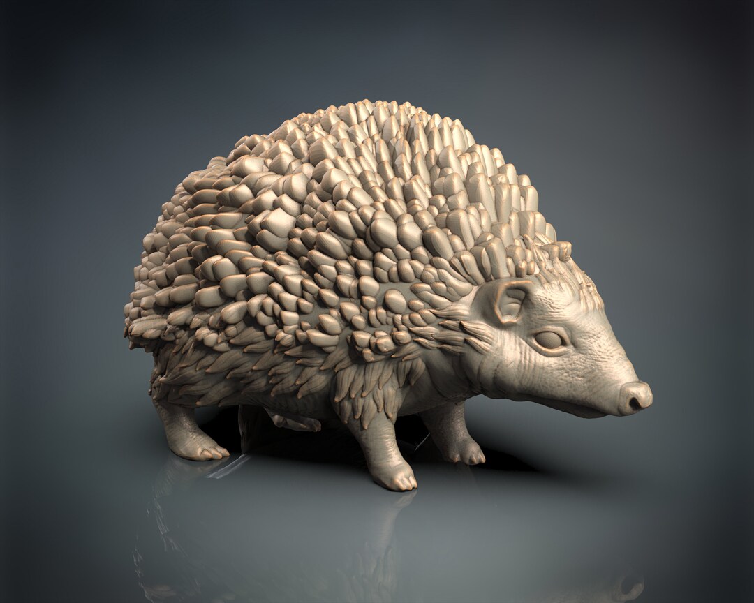 Hedgehog - Ideal for Dungeons and Dragons and Other Tabletop Rpgs ...