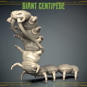Giant Centipede - Ideal for Dungeons and Dragons and Other Tabletop ...