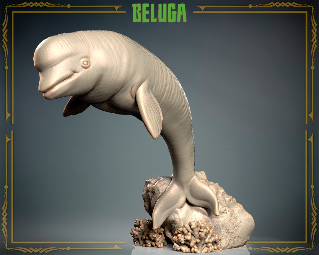 Beluga Whale - Ideal for Dungeons and Dragons and Other Tabletop Rpgs ...