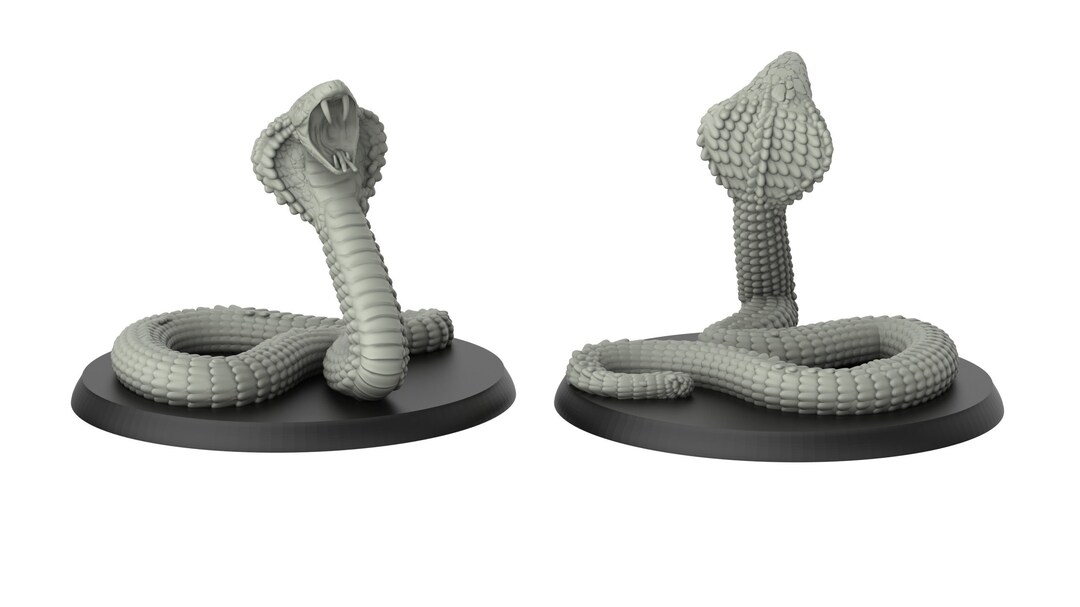 Snake Cobra - Ideal for Dungeons and Dragons and Other Tabletop Rpgs ...