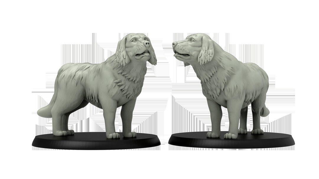 Retriever - Ideal for Dungeons and Dragons and Other Tabletop Rpgs ...