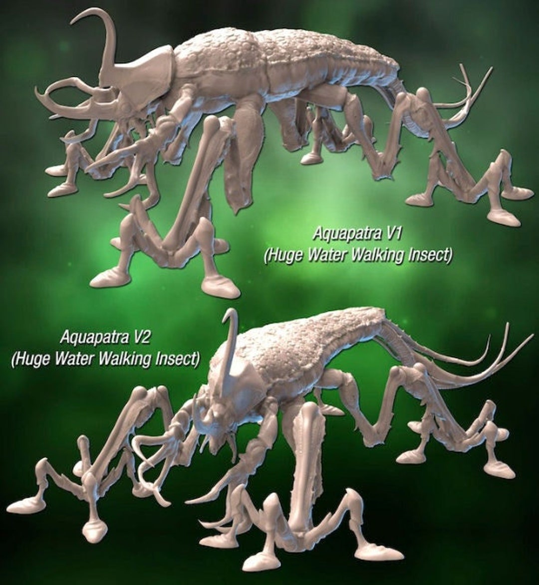 Aquapatra Water Walking Insect - Ideal for Dungeons and Dragons and ...