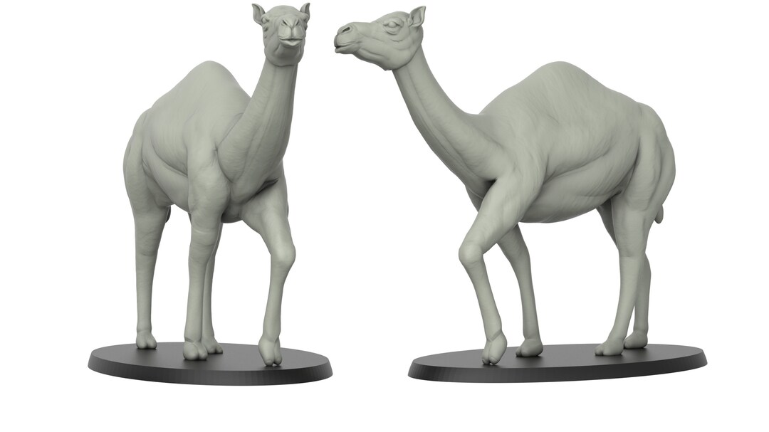 Camel - Ideal for Dungeons and Dragons and Other Tabletop Rpgs ...