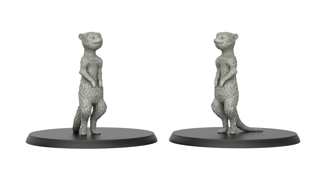 Meerkat - Ideal for Dungeons and Dragons and Other Tabletop Rpgs ...