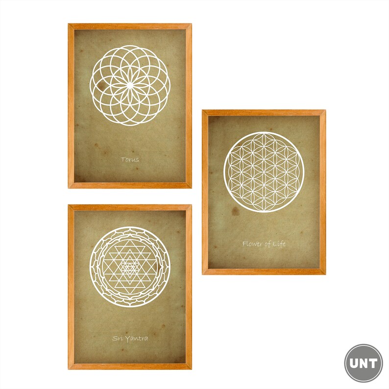 Sacred Geometry Sri Yantra Torus Flower of Life Set of 3 - Etsy